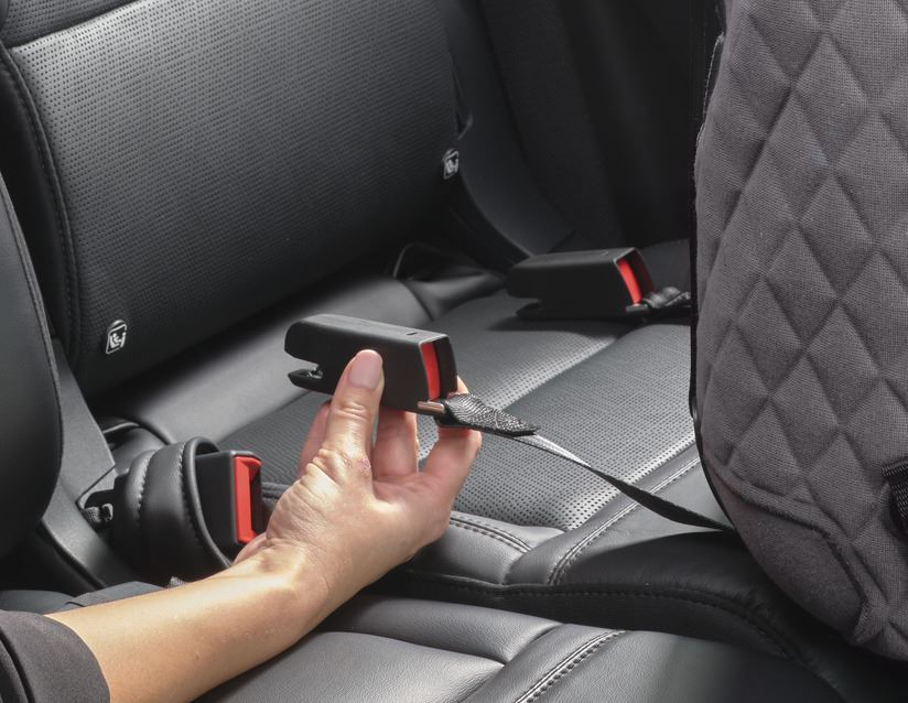 4pets®* Attacco ISOFIX Caree per box da trasporto Caree – Ford Shop Italia